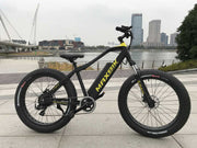 Folding Electric Bike with Smart Charge 20" | MAXBIK MK-17 – NoahPrime